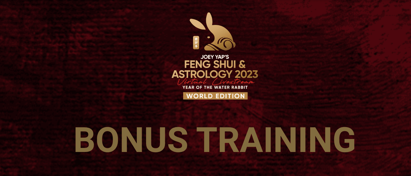 FENG SHUI & ASTROLOGY 2023 (WORLD EDITION)- BONUS TRAINING